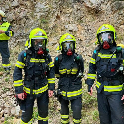BFKDO Wiener Neustadt: 235 Feuerwehrleute übten